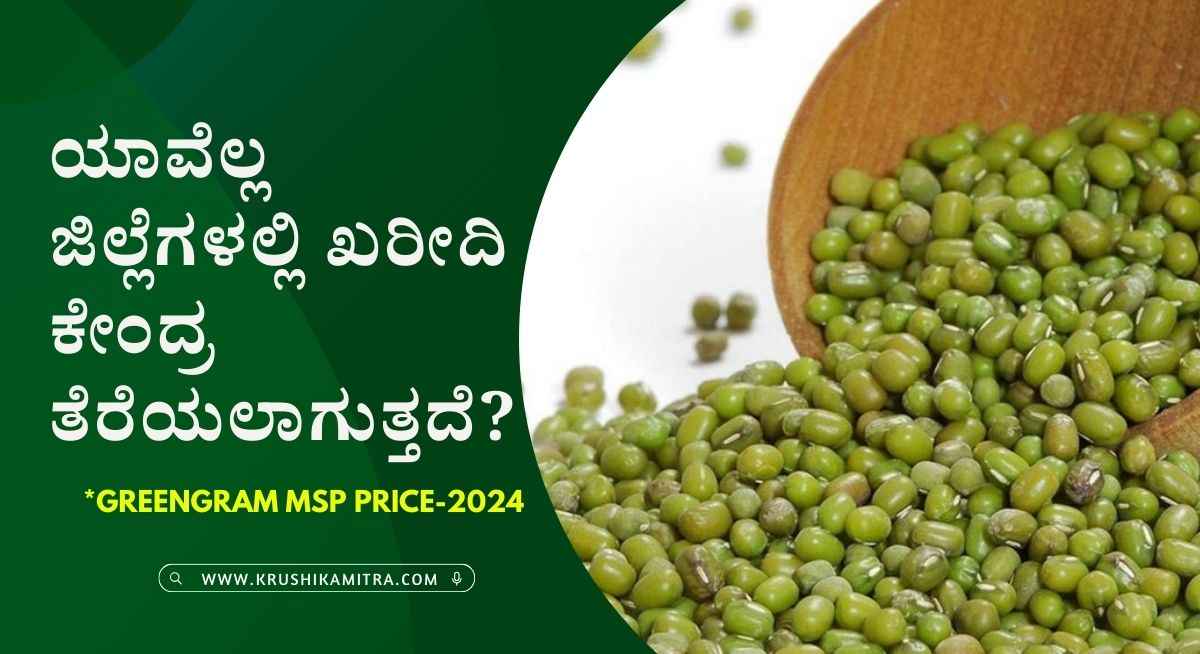 Greengram msp price-2024: ಬೆಂಬಲ ಬೆಲೆಯಲ್ಲಿ ಕ್ವಿಂಟಾಲ್ ಗೆ ರೂ 8,682 ರಂತೆ ...