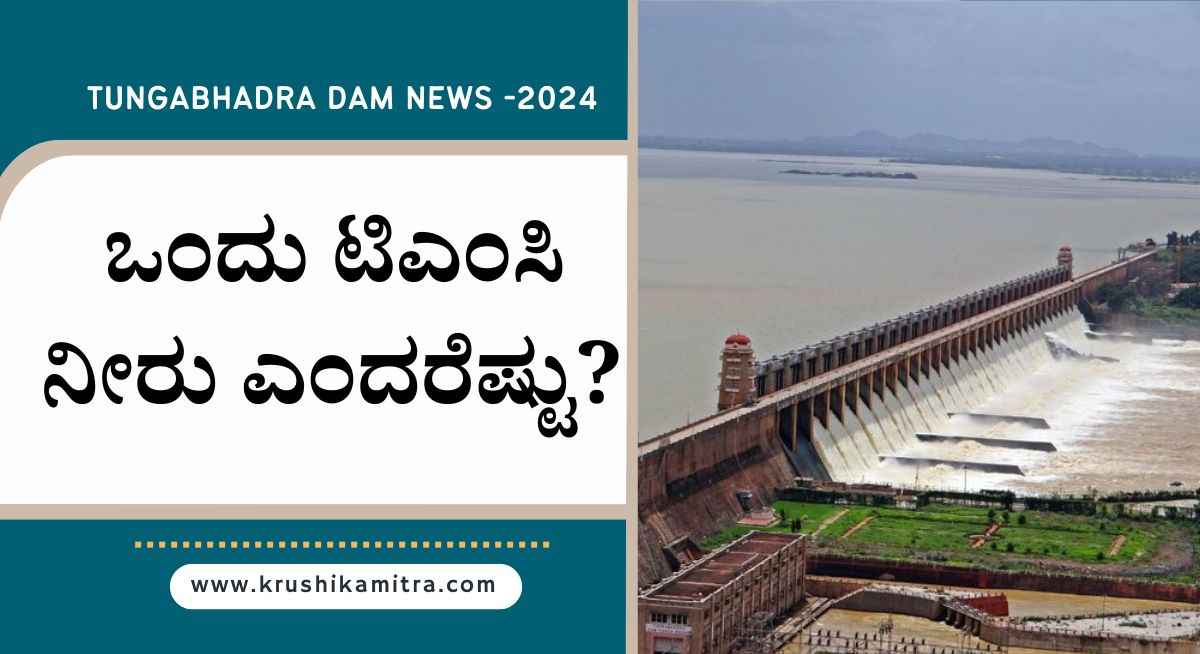 tmc water means- ಒಂದು ಟಿಎಂಸಿ ನೀರು ಎಂದರೆ ಎಷ್ಟು? TB Dam ಕುರಿತು ಇಲ್ಲಿದೆ ...