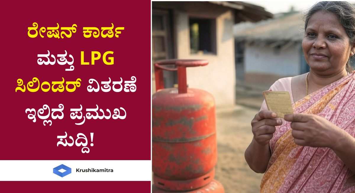 Ration Card And LPG-ಜೂನ್ 01 ರಿಂದ ರೇಷನ್ ಕಾರ್ಡ ಮತ್ತು LPG ಸಿಲಿಂಡರ್ ...